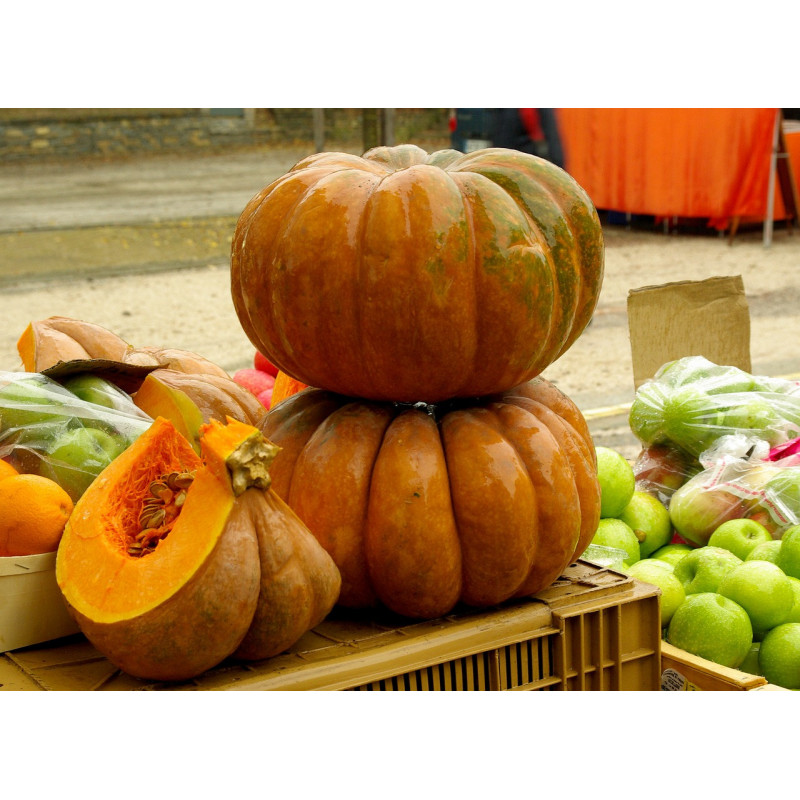 Tout Fruit Tout Frais - Drive - Producteur - Magasin de produits régionaux